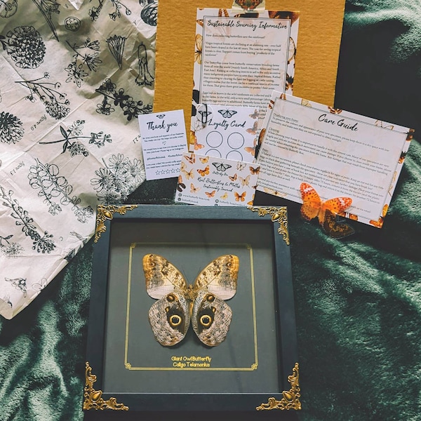 Spotted Sawtooth Butterfly Necklace, Real Butterfly Wing Necklace ...