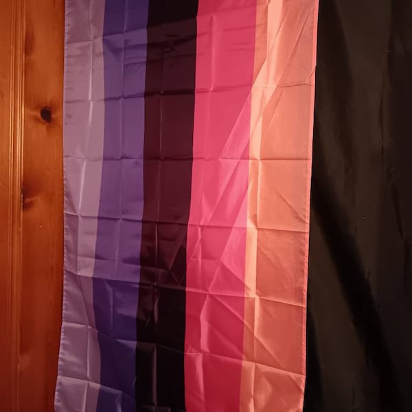 DIGITAL FILE: Printable Extended Pride Flag Reference Guide Includes ...