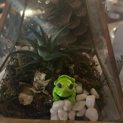 Fidget Frog Fidget Toy, Articulated Sensory Toy, Tiny Frogs, Flexible ...