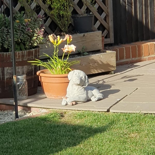Stone/concrete Gargoyle Bird Bath Garden Ornament Statue - Etsy