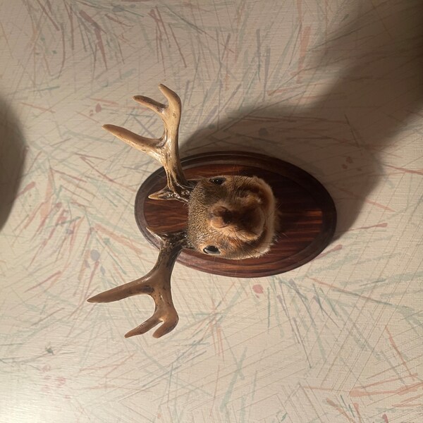 Turkey Pot Call - Handmade Turkey Pot Call - Maple and Cedar Turkey Pot ...