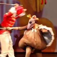 Green Ogre Costume - Etsy