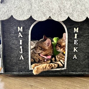 Cat Steps Set 3 Psc. Cat Walk Wall, Cat Steps, Cat Wall Furniture, Cat ...