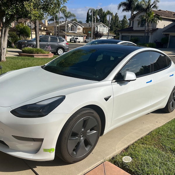 Tesla Model 3/Y Frunk Emblem Logo + Trunk Emblem Logo + Door Handles ...