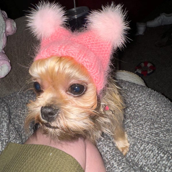 Pink Knitted Dog Hats, Dog Pom Pom Hat, Puppy Hat, Caps for Dogs ...
