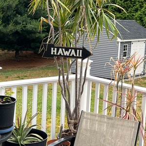 SHE SHED Sign Lady Cave Diva Den Vintage Looking Rustic - Etsy