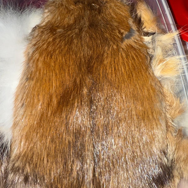 River Otter Pelt, Tanned - Etsy