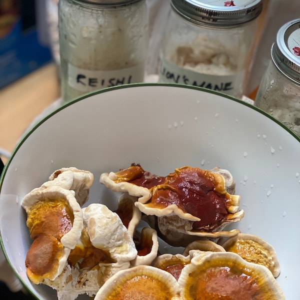 Blue Oyster Mycelium Liquid Culture (pleurotus Columbinus) - Etsy