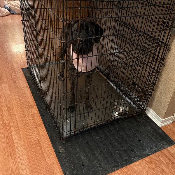 Genuine Wooden Piggy Train Bank | Handmade Wooden Train Bank | Solid ...