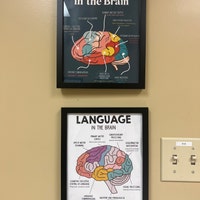 The Human Brain Poster, Brain Anatomy & Psychology, Mental Health ...