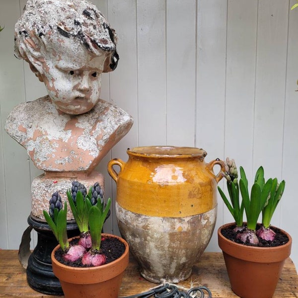 Faded Vintage Byrrh Sign, Retro Alcohol Advertisement, Wine Wall Art ...