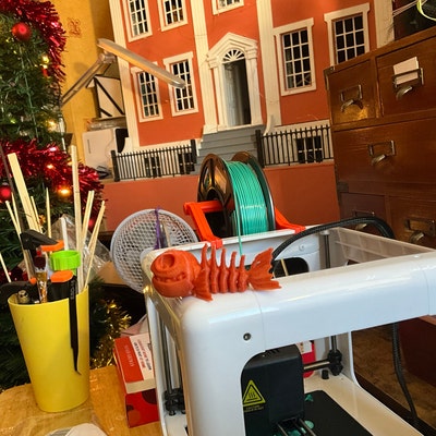 Flexi Print-in-place Fish STL File for 3D Printing Active - Etsy