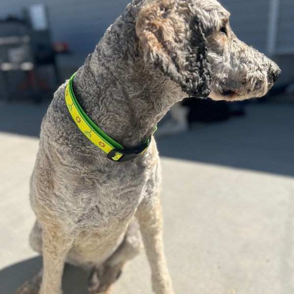 Labrador Retriever Dog Collars, Canoe Dog Collars, Wilderness Dog ...