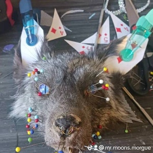 Beaver Fur Can and Bottle Cooler/cozy With Pink Neoprene Insert listing ...