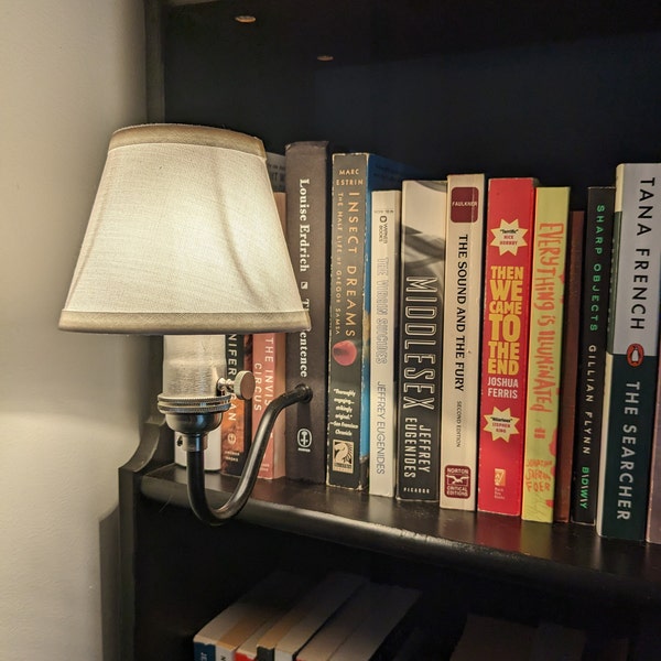 Bookshelf Lamp. Bookcase Light. Bookshelf Decor. Home Library/home ...