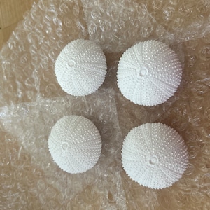 Shell Knobs Beach Knobs and Pulls Beach House White Knobs Drawer Knobs Cabinet Knobs Kitchen ...