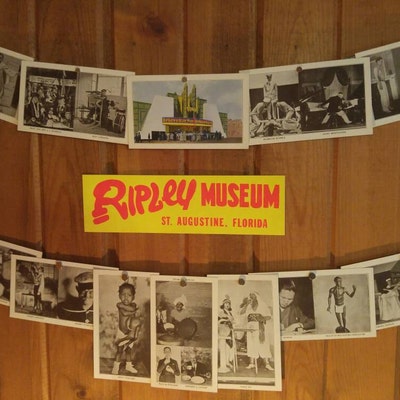 Dogpatch USA Vintage Bumper Sticker, Harrison, Arkansas, Ozark ...