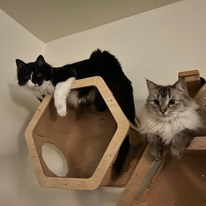 Cat Hexagon Shelves, Wood Wall Furniture for Cats, Wall Mount Shelf ...