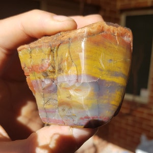 1 Lb. Dinosaur Bone Slab Gem Bone Agatized Silicated Dinosaur Bone Gem ...