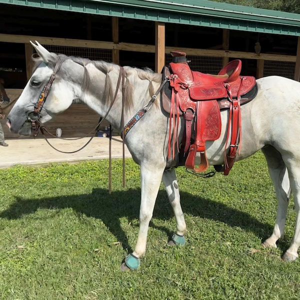 Western Barrel Racing Horse Saddle With Matching Tack Set (head Stall ...