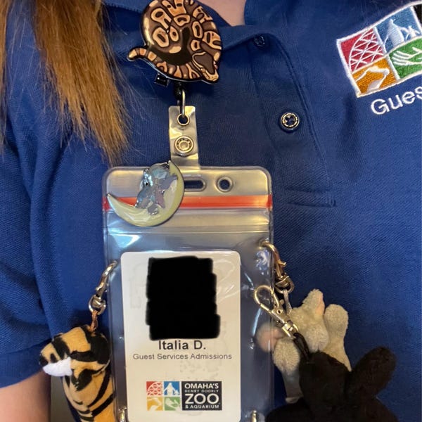 Red Panda Magnet: Gift for Red Panda Lovers Chinese Animal Cute Animal ...