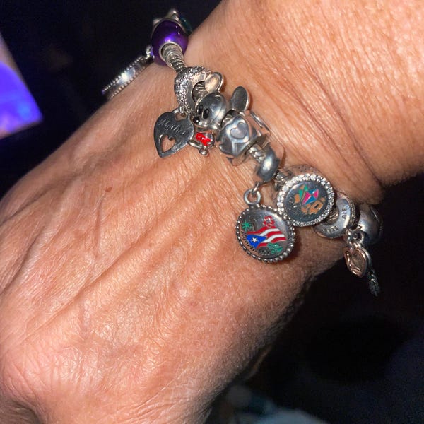 Pandora Charm Pandora Florida Cruises Exclusive Charm Charms for ...