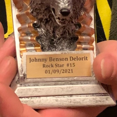 Wolf School Mascot Trophy Silver & Gold Wolves Award by DECADE AWARDS ...