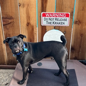 DOG PARK Metal Sign - Etsy