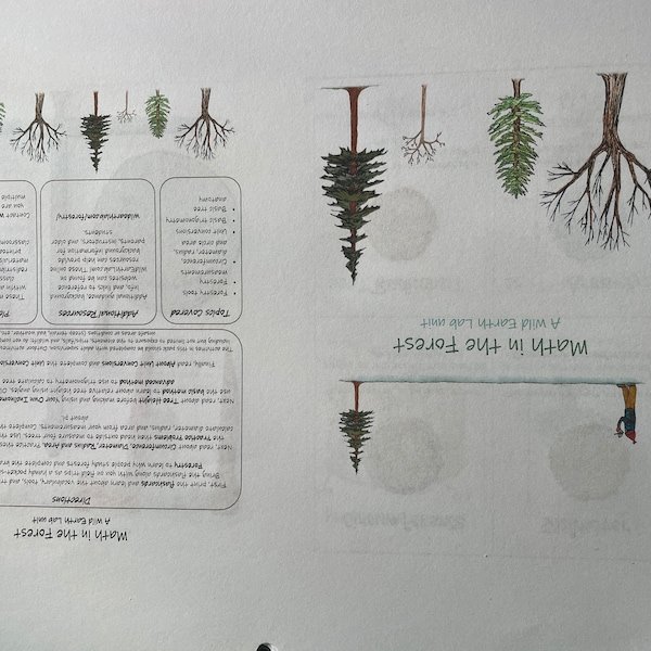 Conifer Vs Deciduous Trees: Printable Classroom Poster for Tree ...