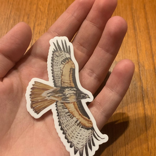 1x3" Red Tailed Hawk Sticker, Water Bottle Sticker, Waterproof, Vermont ...