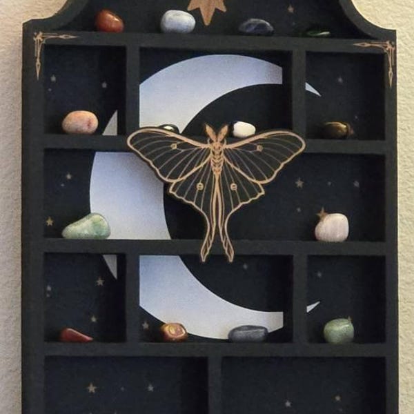 Luna Moth Shelf | Apothecary Cabinet | Crystal Shelf | Oddities Display ...