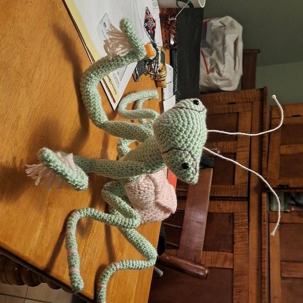 Praying Mantis Crochet Pattern - Etsy