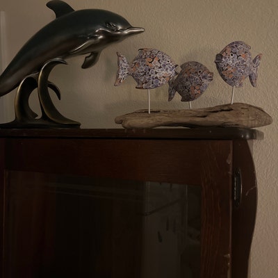 White Screw Shells 3-8cm Unicorn Horns Spiral Shell Beach Wedding ...