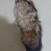Eco Friendly Kit Fox Tails - Etsy