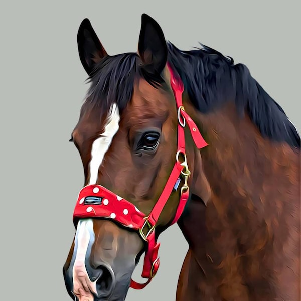 Horse Physical Assessment Form | Horse Bodywork | Equine Form | Horse ...