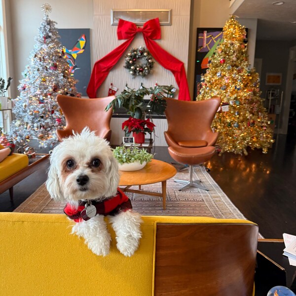 Large Wall Bow in Baby Blue, Big Bow for Events, Rooms or Nursery Decor ...