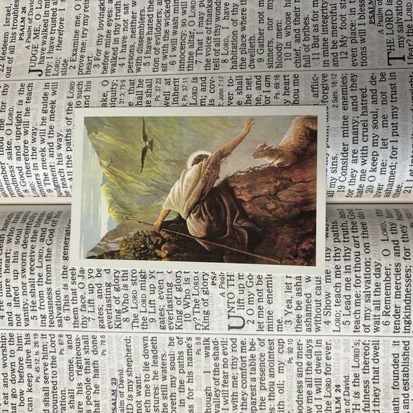 Traditional Catholic 4 Book Bundle: the Fifteen Mysteries of the Holy ...