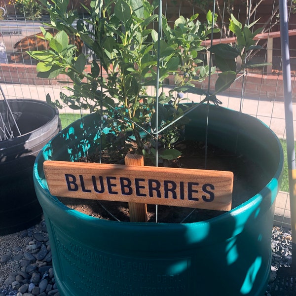 BLUEBERRIES Sign, Fruit Marker, Garden Sign, Plant Label, Blueberry ...
