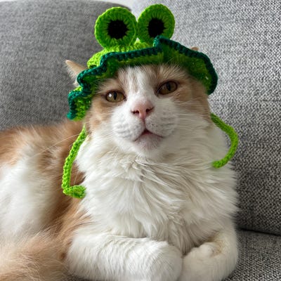 Apple and Apricot Cat Hat Pattern - Etsy