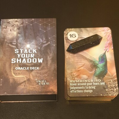 PSYCLOPSE, Baggy Festival Shorts Green and Black Leather, Adjustable ...