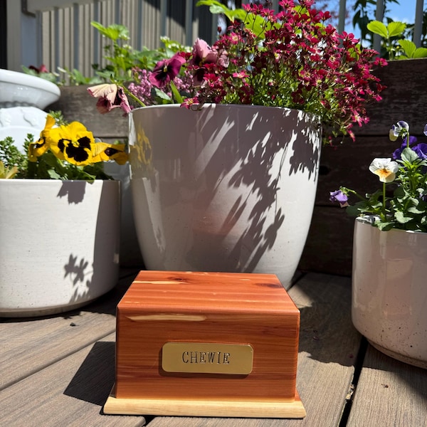 Real Heavy Duty Plastic Cow Tag - Plastic Livestock ID Tag – Plastic ...