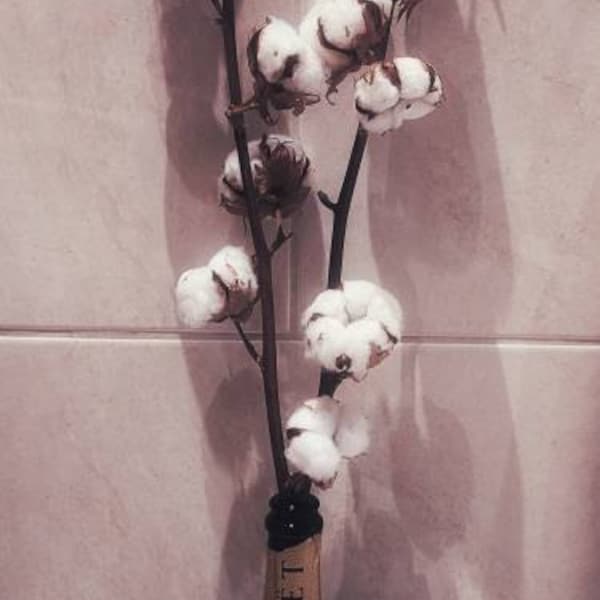 Rose 'fantastic at 60' Happy Birthday Rose Gift Wrapped With Huge Bow ...