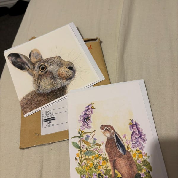 Badger Print - A4 Size - Giclee Print - Wildlife - Nature Lover ...