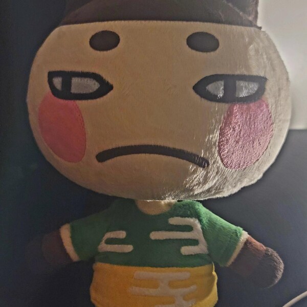 Custom Plush Kidcat - Etsy