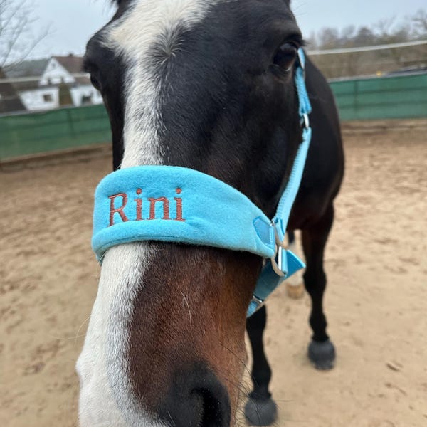 Pferdehalfter mit Namen und Herzchen Stickerei - Reiter Halfter ...