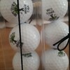 Graduation Gift, Custom Golf Balls, Graduation Golf Favors, Collage ...