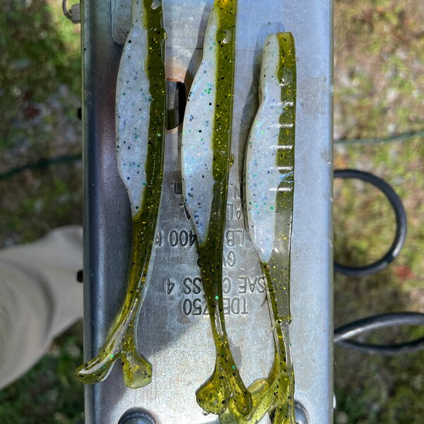 Soft Plastic Bait Mold, 3.75 Inch Trick Worm, Ned, Drop Shot, Plastisol ...