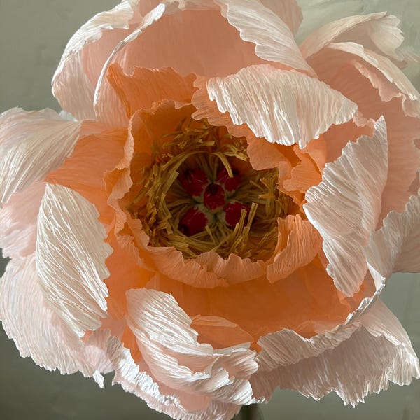 Paper Flowers-paper Rose-crepe Paper Rose-extra Large Rose-wedding ...