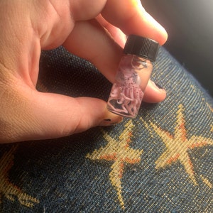 Real Cute PINK Cuttlefish in a Jar, Wet Specimen, Squid, Tentacles ...