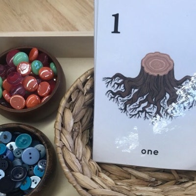 Nature Number Cards 1-20 Charlotte Mason Pre K Homeschool Printables ...